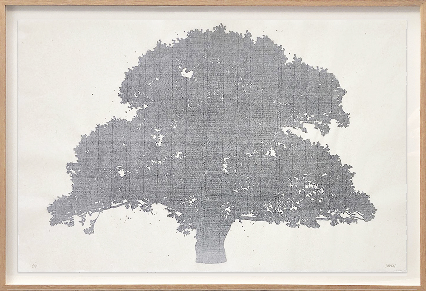 Guillermo Summers Home - Espacio Mados